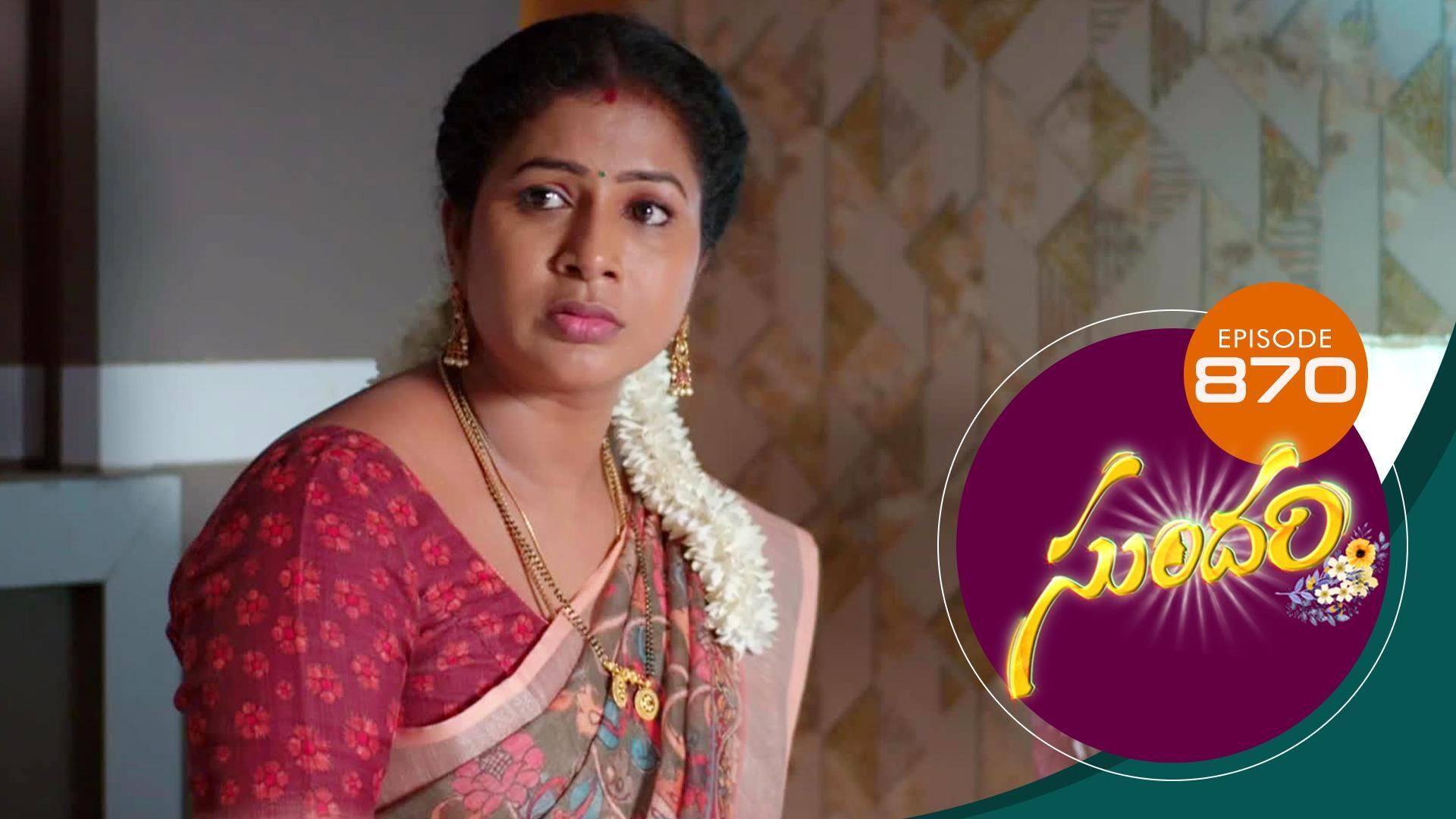 partner/sunNxt -Watcho