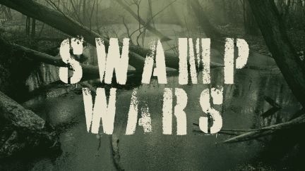 section/nature-animals-series-discovery -Watcho