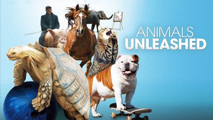 partner/discovery -Watcho